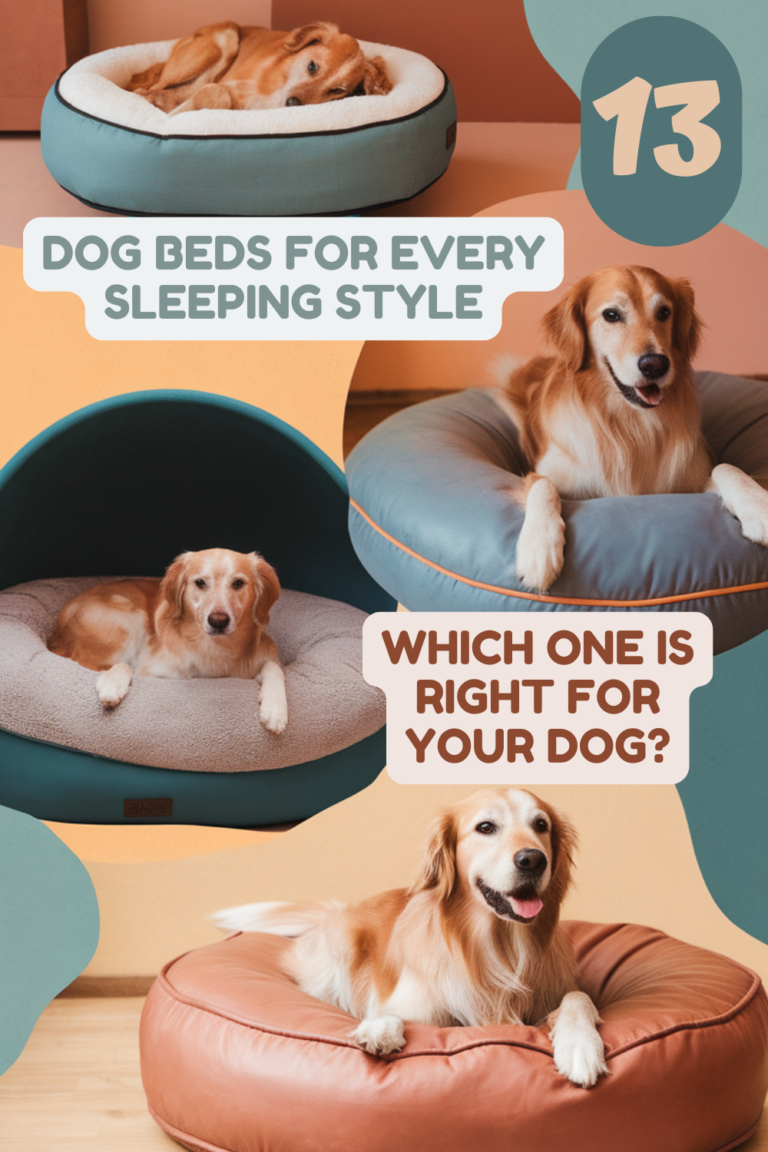 13 Essential Types of Dog Beds: A Complete Guide to Choosing the Perfect